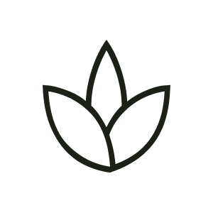 Pureté Beauty | Borrowed From Nature, Perfected by Science.